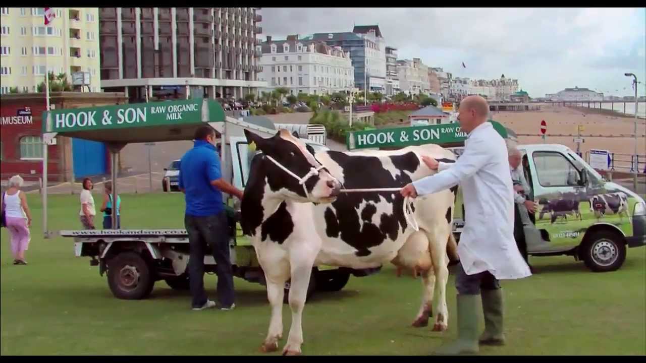 The Moo Man - United Nations Western Europe