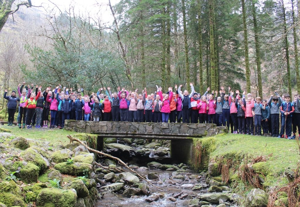 Championing the SDGs: Irish organisations driving change