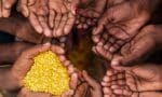 Global Hunger Doubles in Decade, UN Food Crisis Report Warns