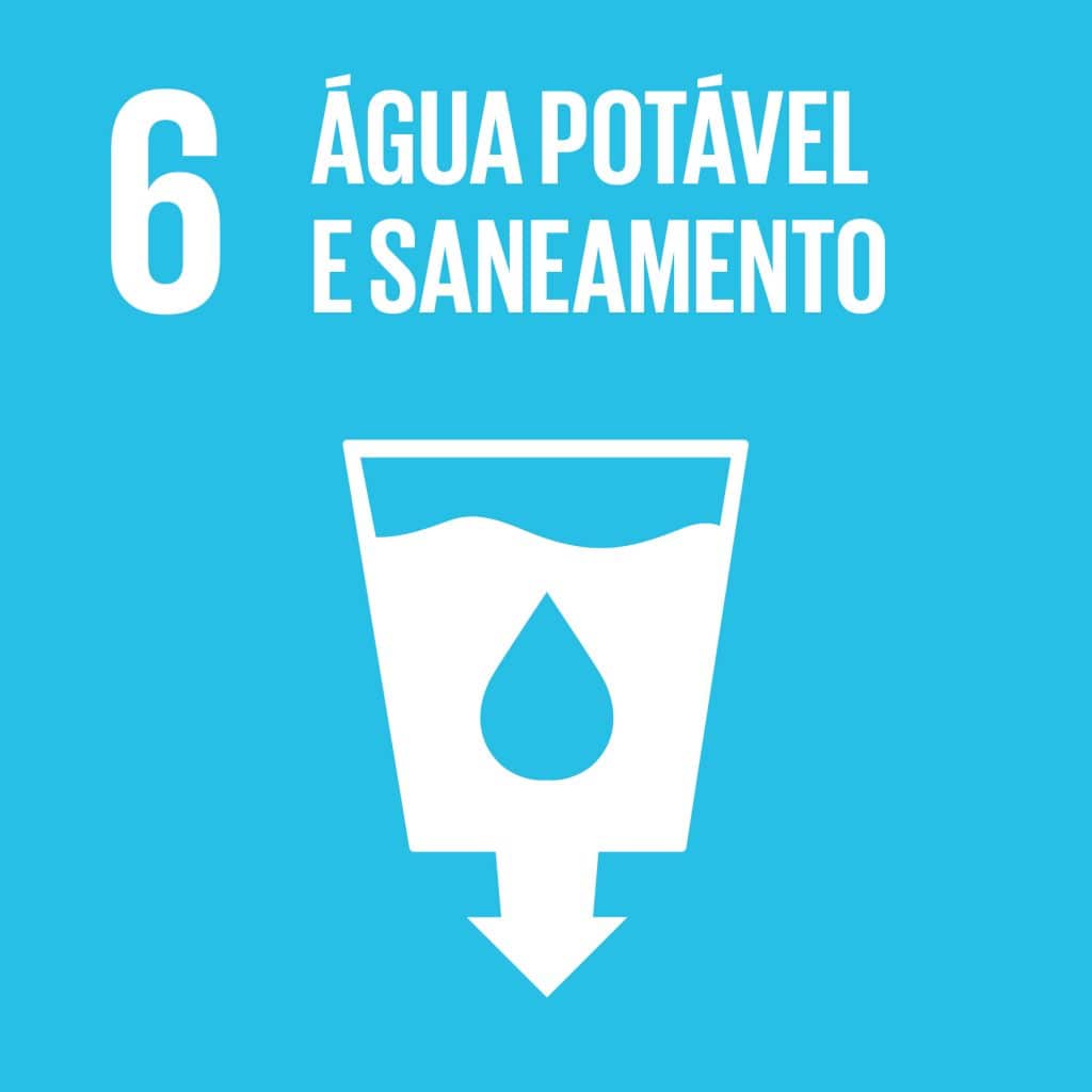 ODS 2 - Nações Unidas - ONU Portugal
