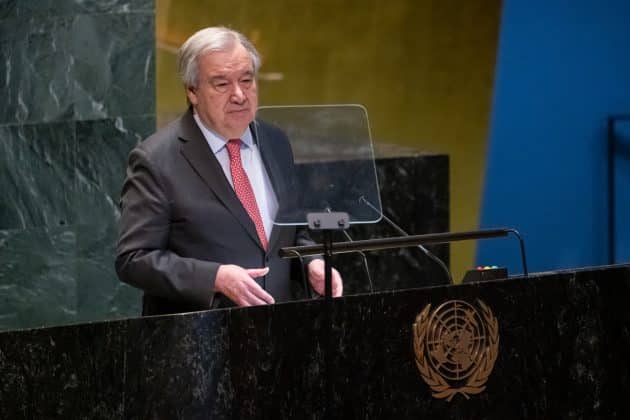 CSW 2025: Três Décadas de Avanços e Retrocessos na Igualdade de Género ...